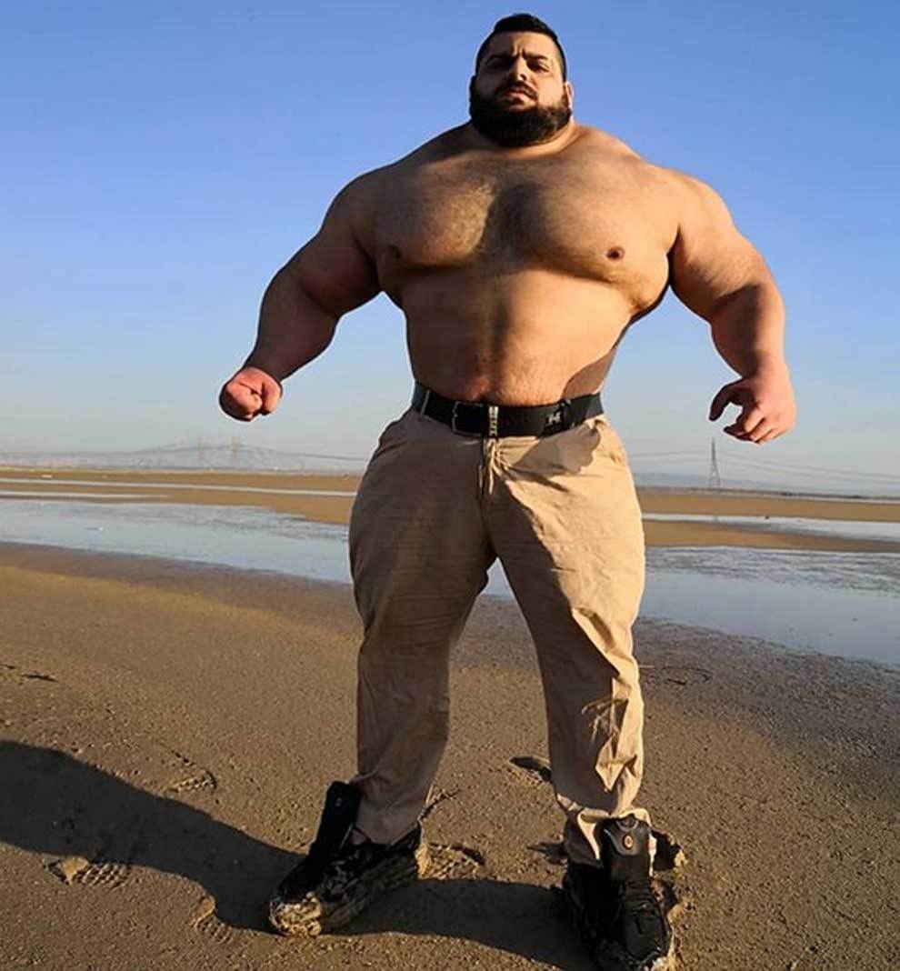 MMA: Sajad gharibi, el famoso 'hulk de irán' | MARCA.com