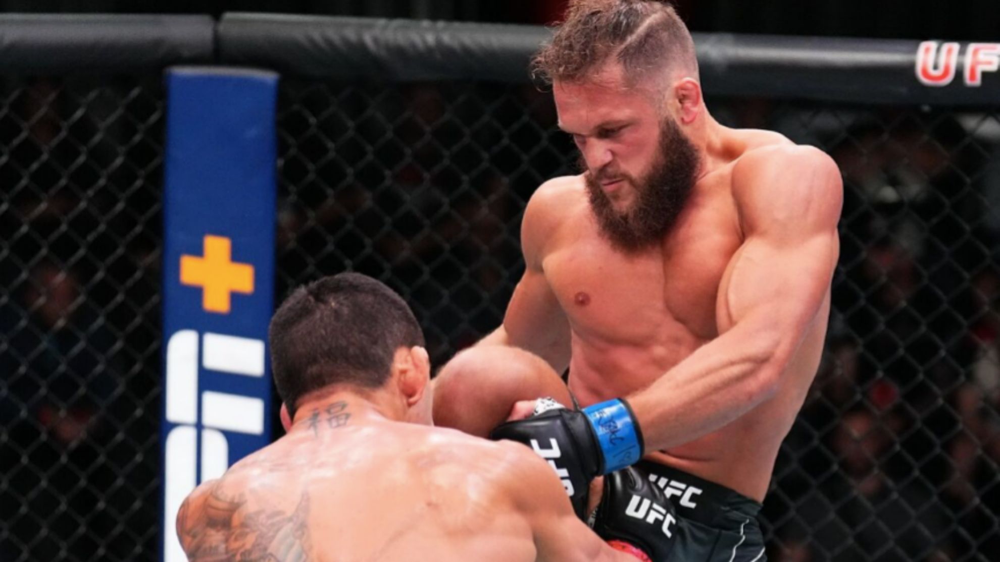 Ufc Fights Knockouts