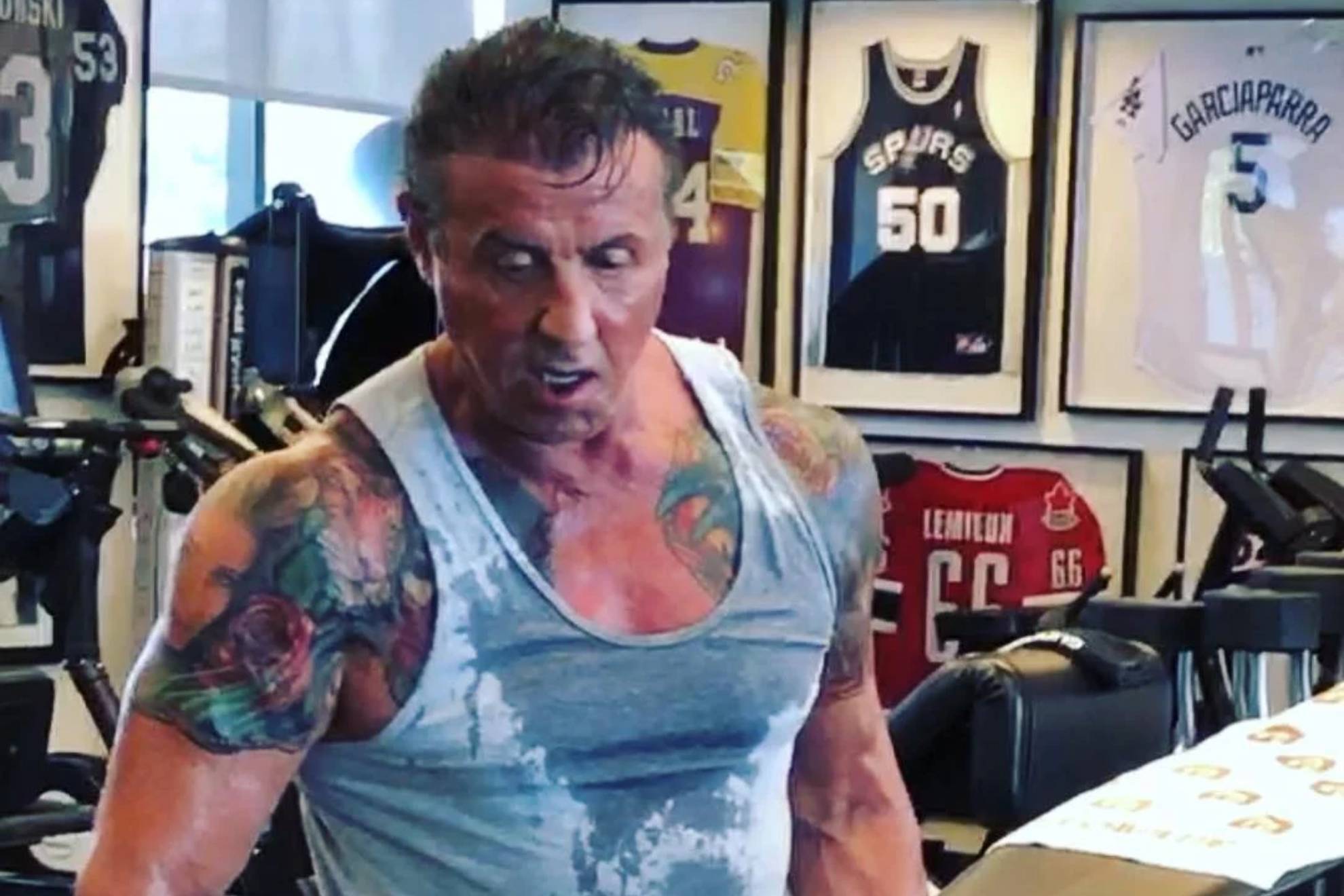 Inavvertitamente Comportamento Scarpata Stallone Body Now Adattamento Inavvertitamente Comportamento Scarpata Stallone Body Now Adattamento