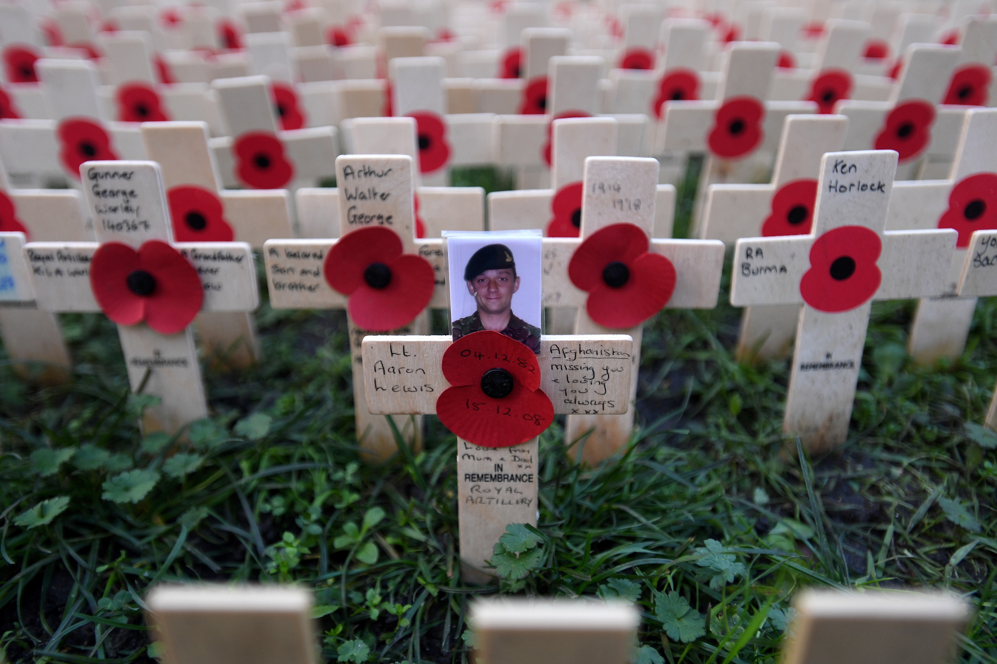 What Does The Poppy Flower Symbolize Ukraine War - Infoupdate.org