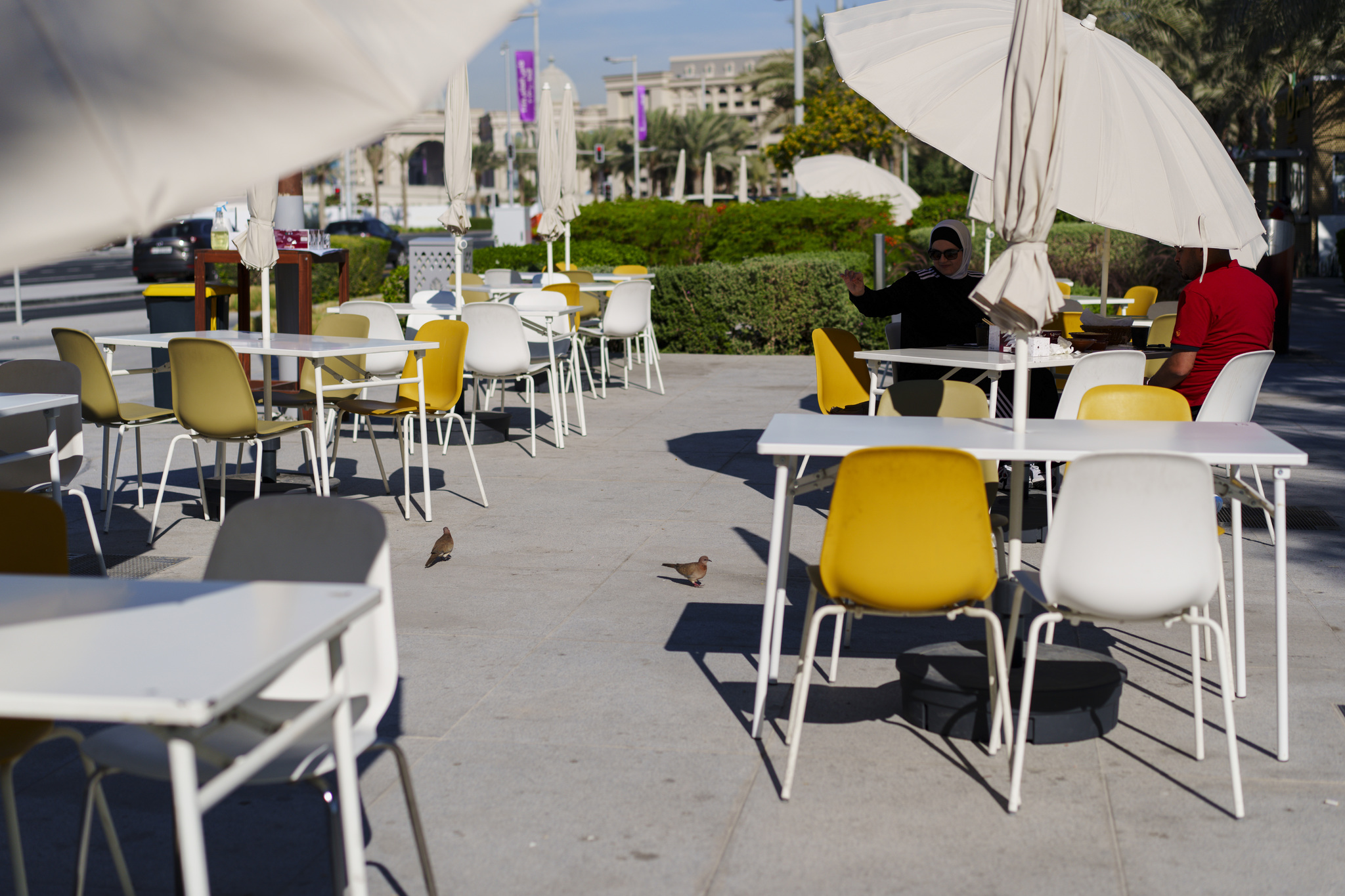 World Cup 2022A woman feeds birds in a street cafe at lusail... | MARCA ...