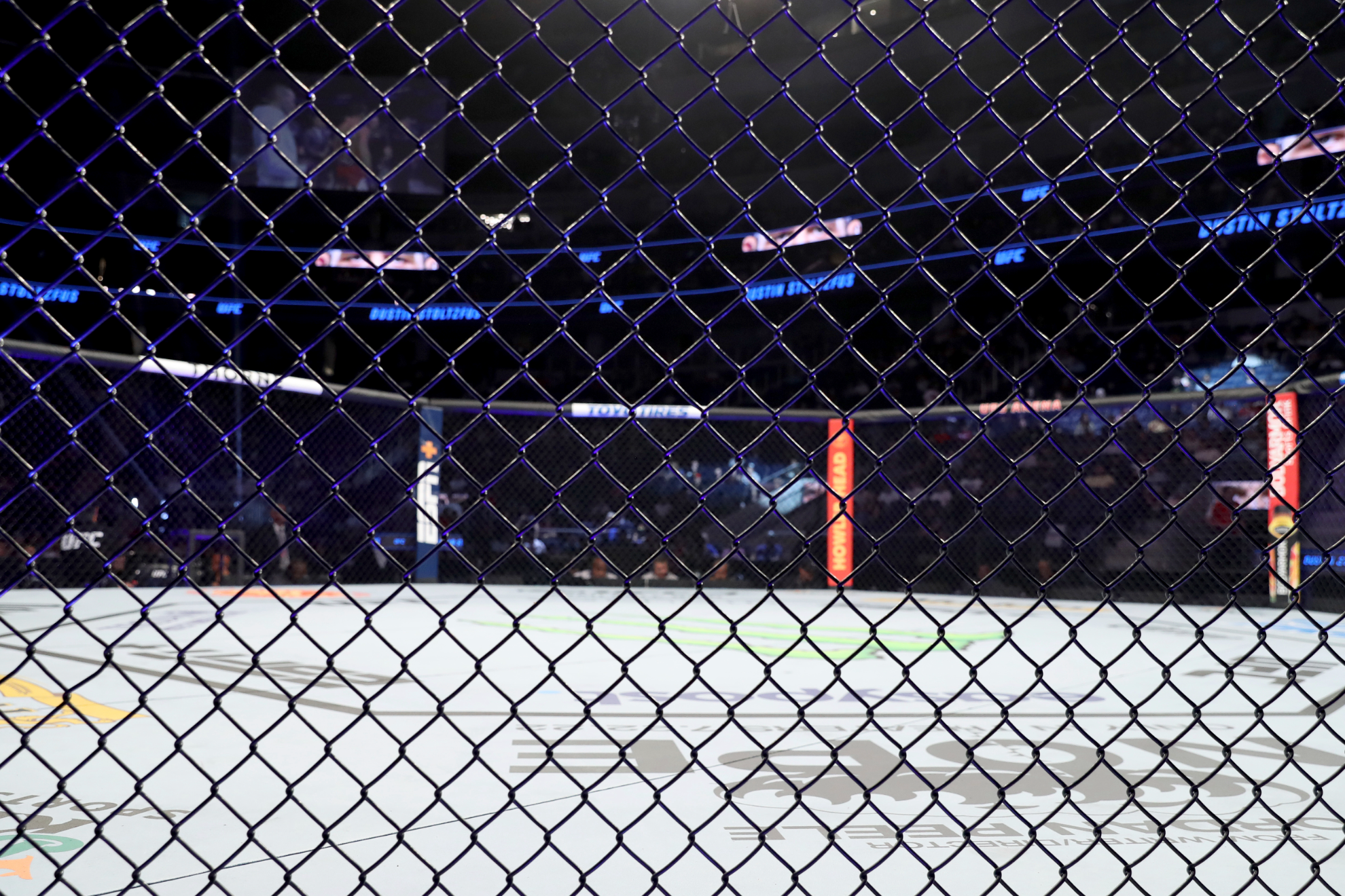 Ufc Octagon