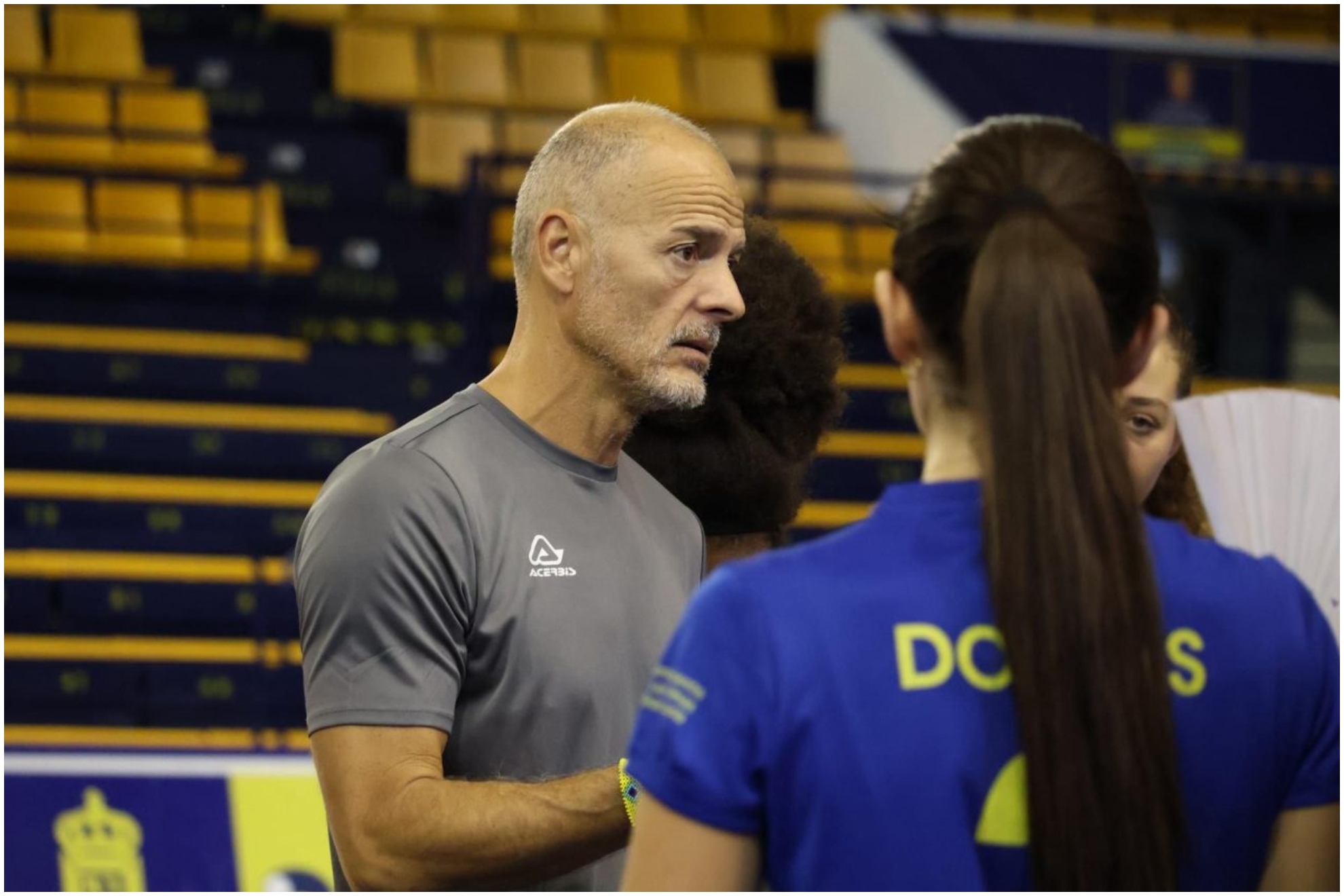 Noticias de Voleibol - Marca.com