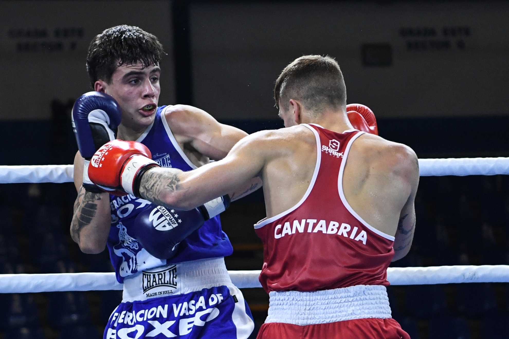 Boxeo - Últimas noticias