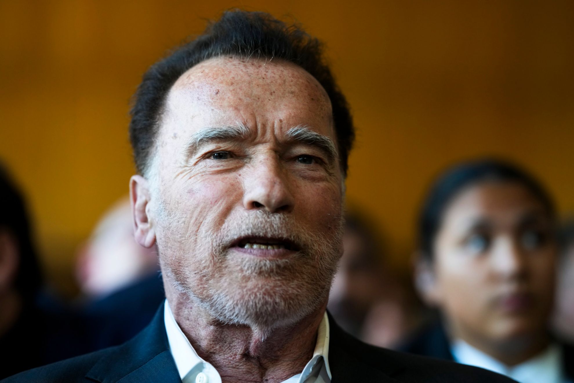 Conservative Celebrities 2023 60 Photos - Moonagedaydream.film