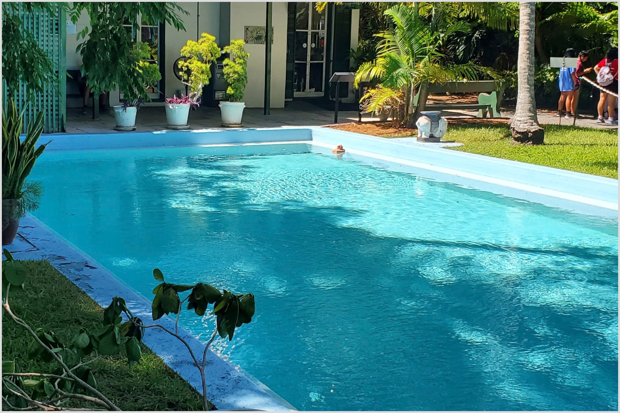 Swimming News - Latest Swimming News, Stats & Updates