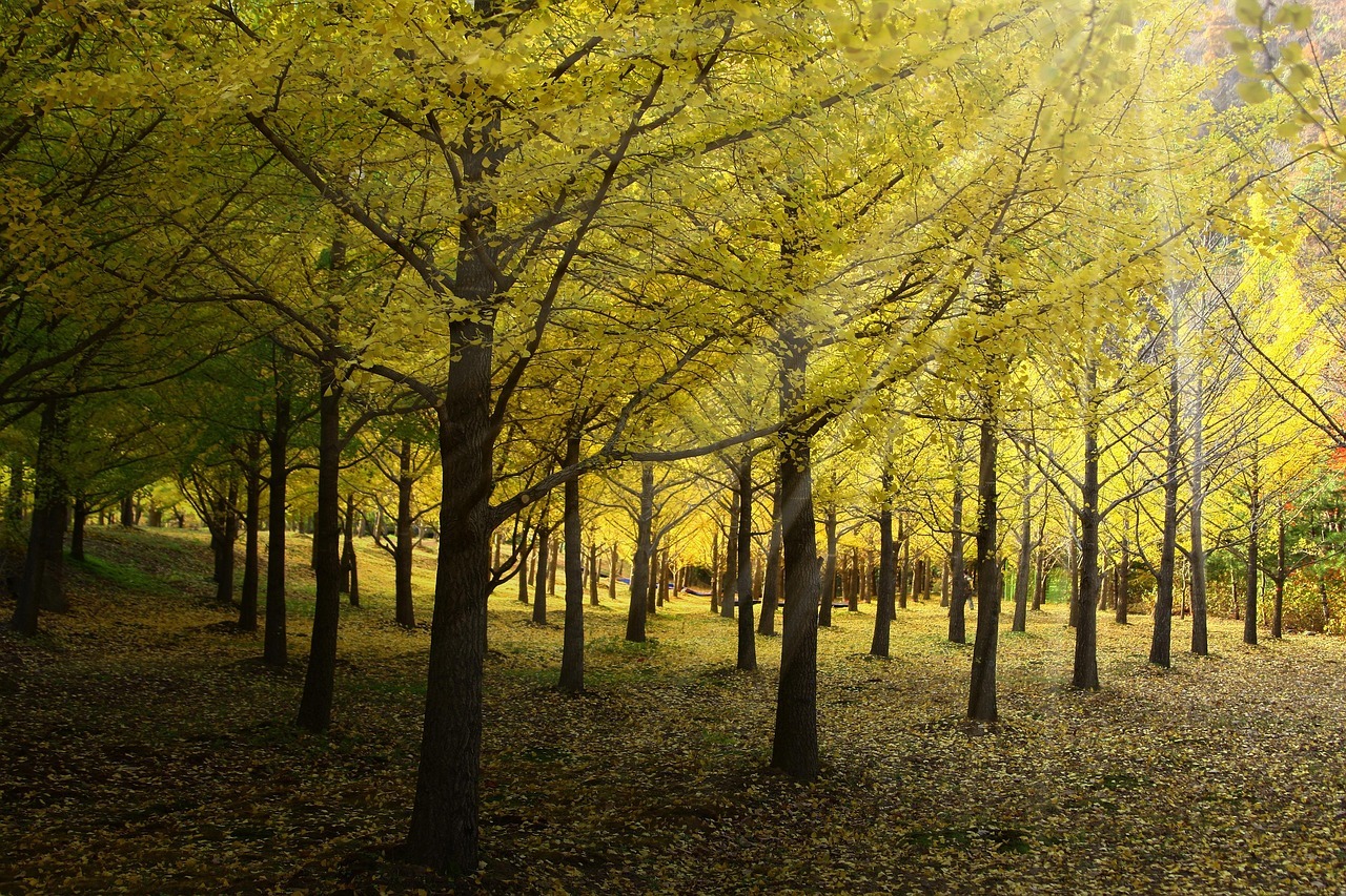Neither birds nor reptiles: this is the living being that survived the ...