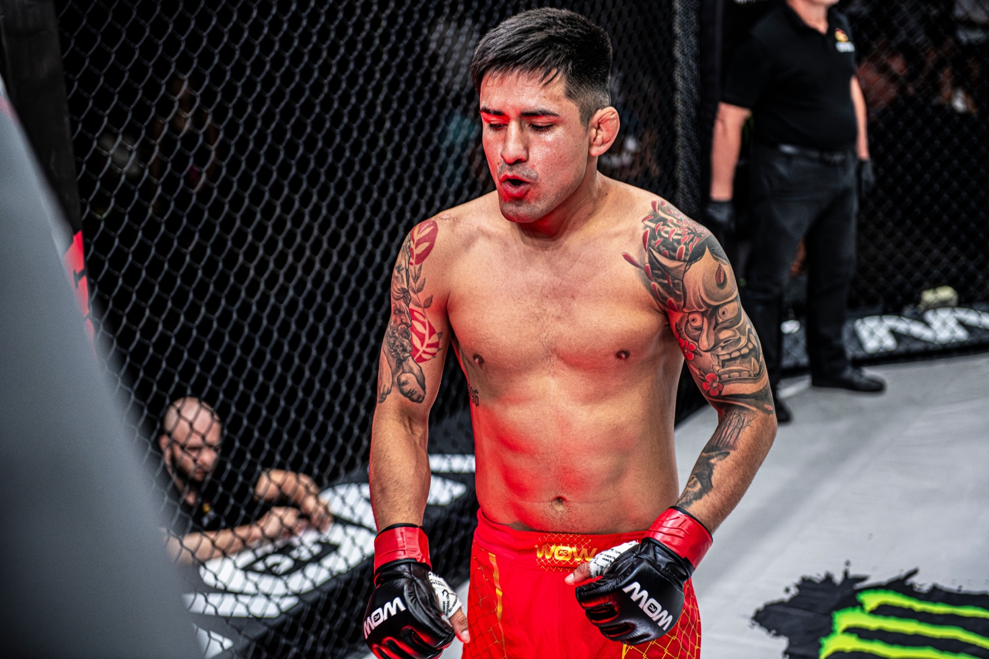 MMA - Noticias de Artes Marciales Mixtas