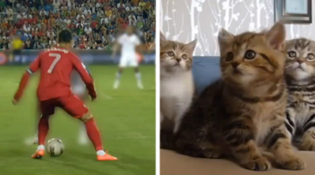 CR7, el astro que convierte a los defensas en gatos - MARCA.com